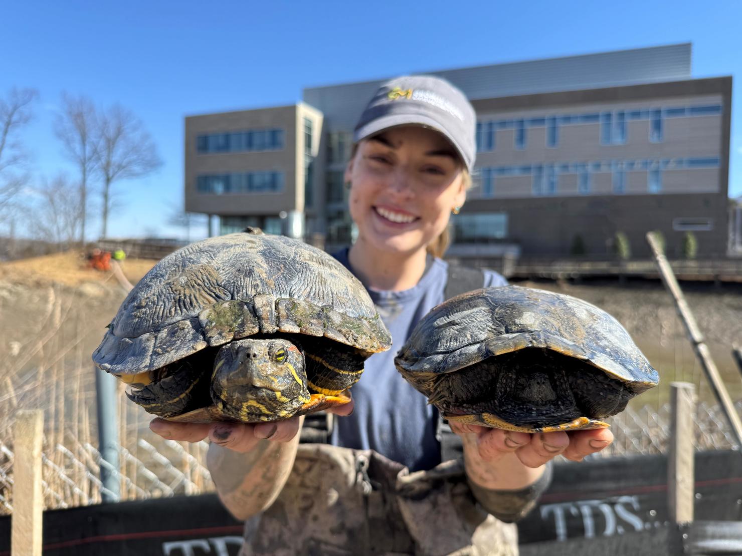 In a muddy turtle rescue at the Potomac Science Center, slow and steady ...