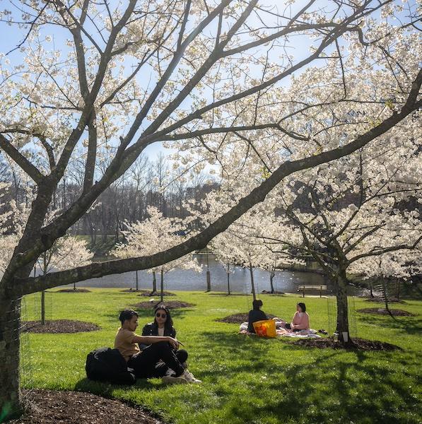 Mason has 14 graduate programs in the top 50 in U.S. News rankings ...