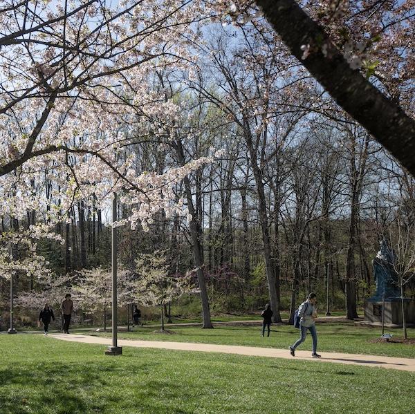 George Mason ranks among Top 50 graduate programs nationally in ...